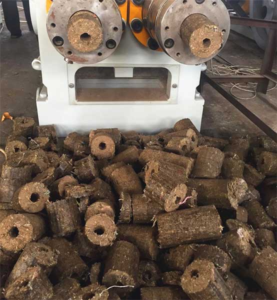 Sludge Pellet Briquette Machine For Sale